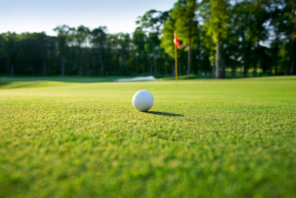 8 Best Milton Golf Courses for 2026 | Experience Milton
