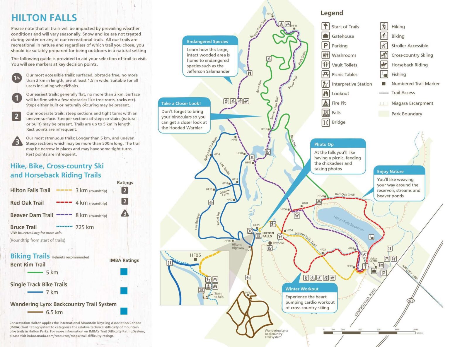 Milton Hiking Trails: 12 Picks for 2025 | Experience Milton