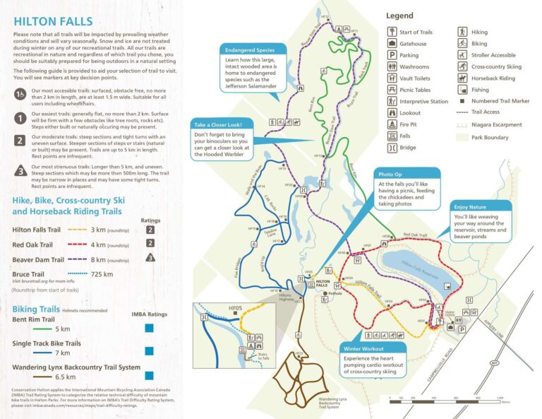Milton Hiking Trails: 12 Picks for 2025 | Experience Milton