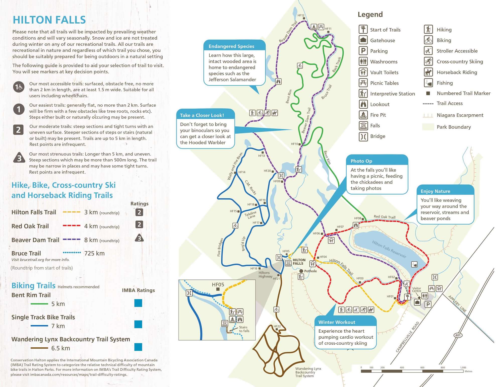 Milton Hiking Trails: 12 Picks for 2025 | Experience Milton