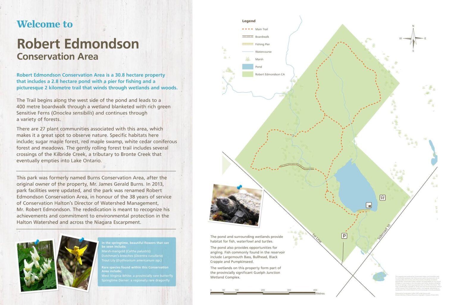 Milton Hiking Trails: 12 Picks for 2025 | Experience Milton