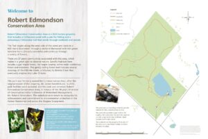 Milton Hiking Trails: 12 Picks for 2025 | Experience Milton