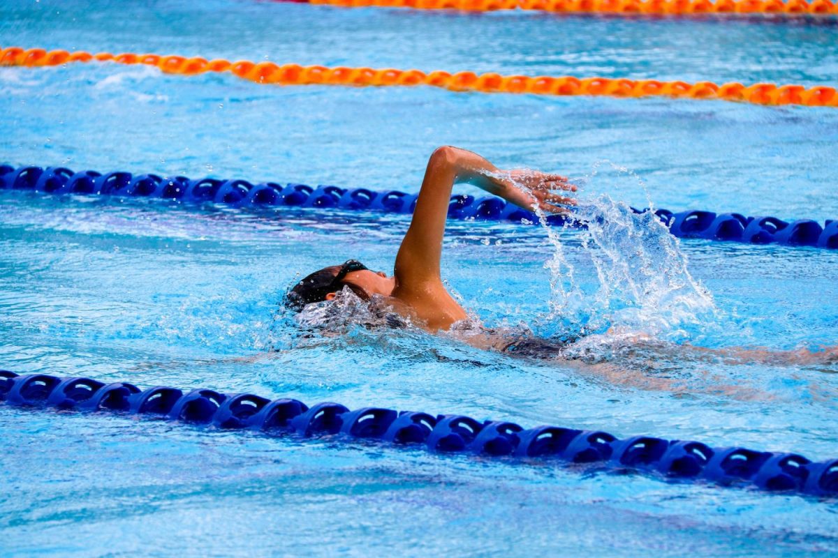 5 Best Swimming Pools in Milton: Year-Round Fun for All Ages