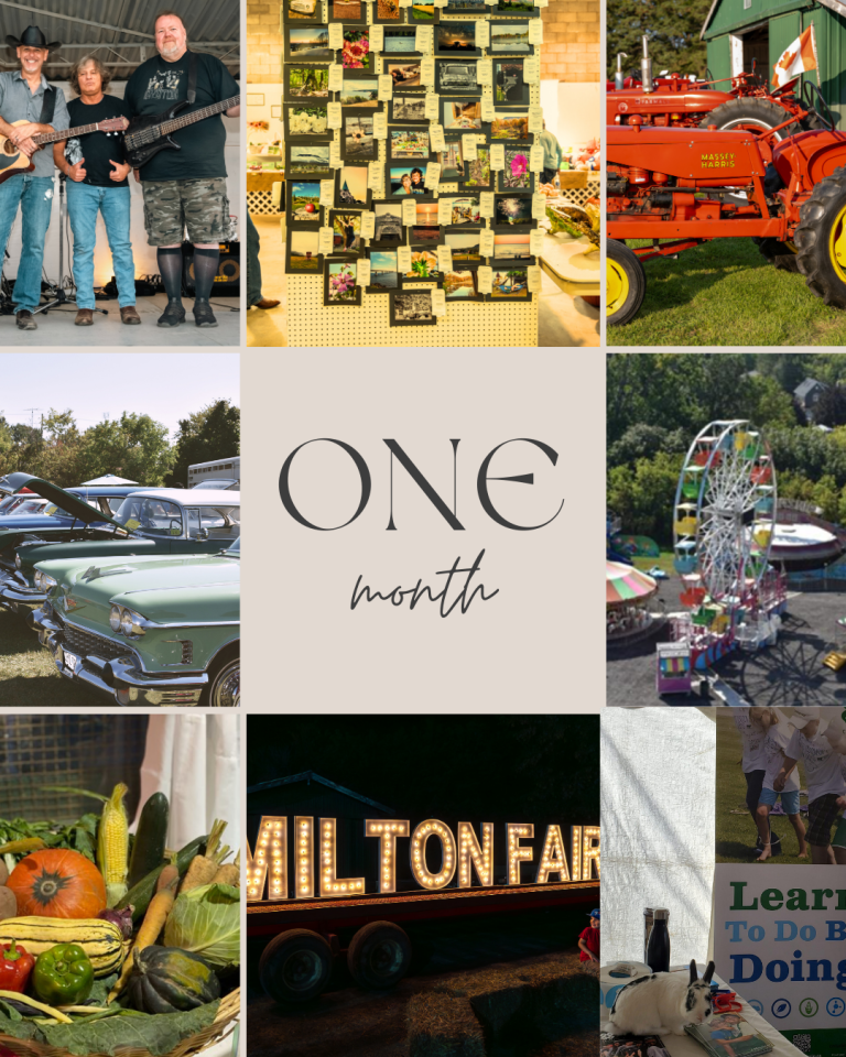 Experience Milton: Your Source for All Things Milton